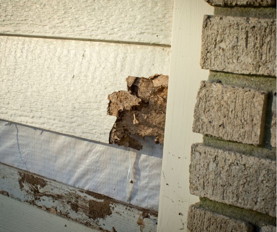 Siding Repair | Myers Roofing & Exteriors